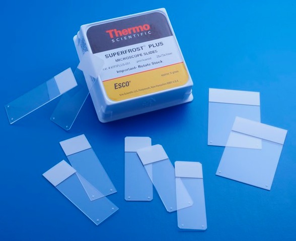 Novamedical Chile - Equipos para anatomía patológica